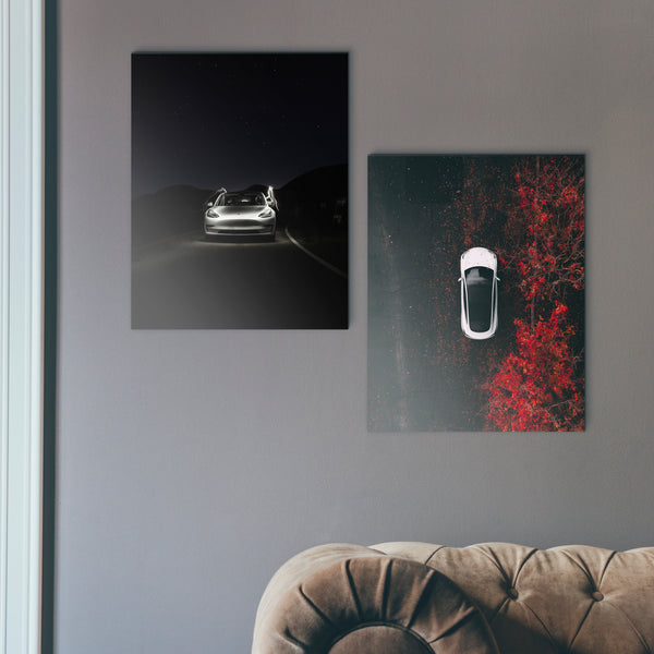 Tesla Model 3 Exclusive Prints Collection (Set of 2) – TESLARATI ...